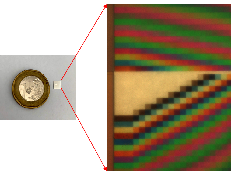 Home [ssls.nus.edu.sg]