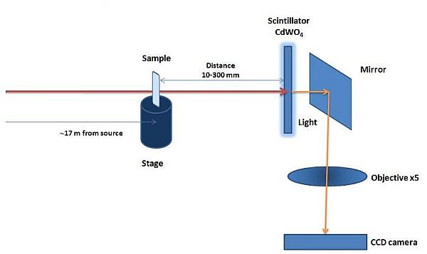 Home [ssls.nus.edu.sg]